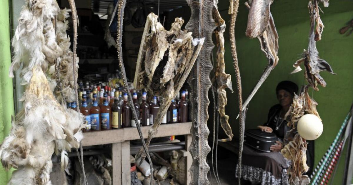 muti johannesburg su day | muti shop bellville | how to use muti | xhosa