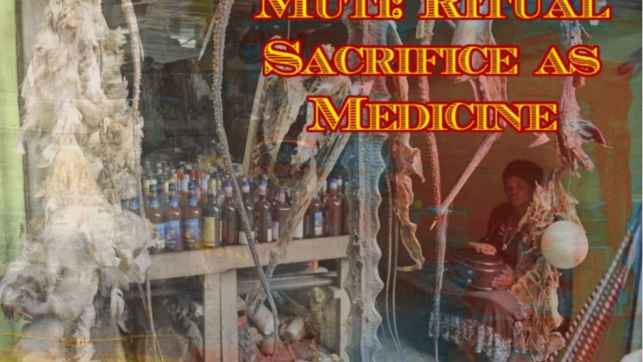 muti killings pictures | ingwe special muti benefits | kwa muti