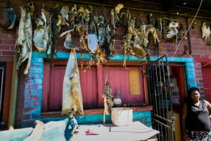 muti murders | ingwe special muti benefits | kwa muti wholesalers products