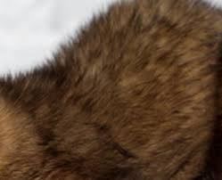 Sandawana Image | Sandawana Fc